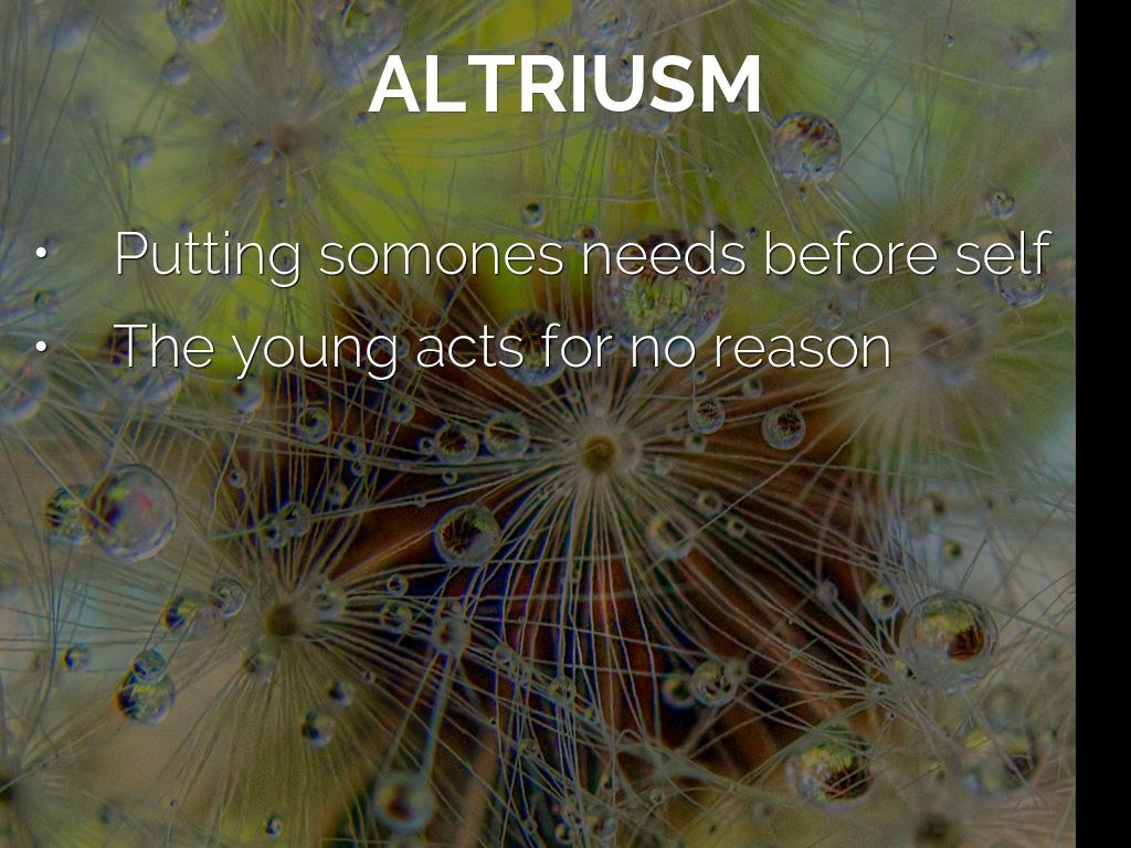 Altruism by Eliza Skinner