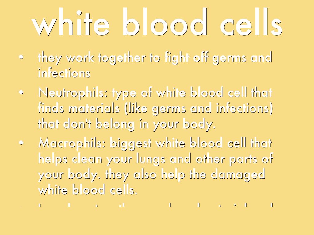 Immune System by Allie C