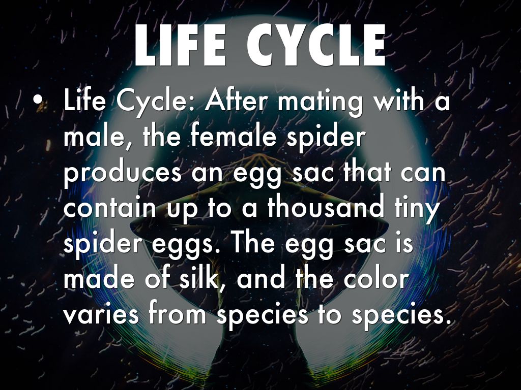 Lean And Dab by Kaleb Heath