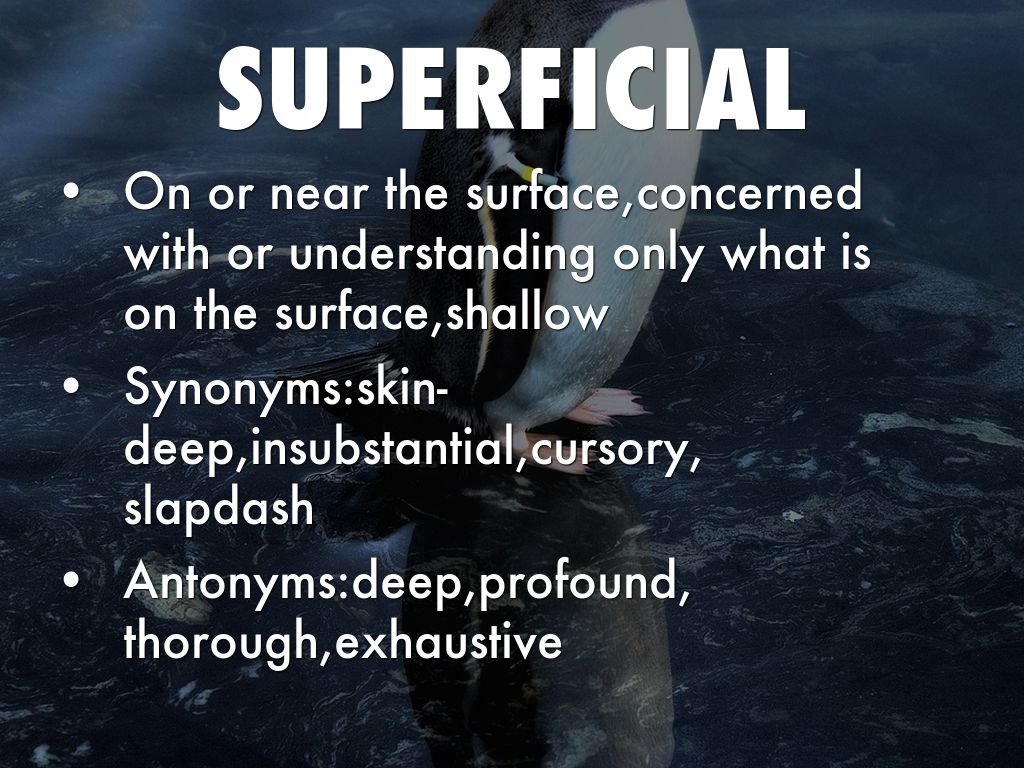 Vocab unit 11 by Chris Chojnacki