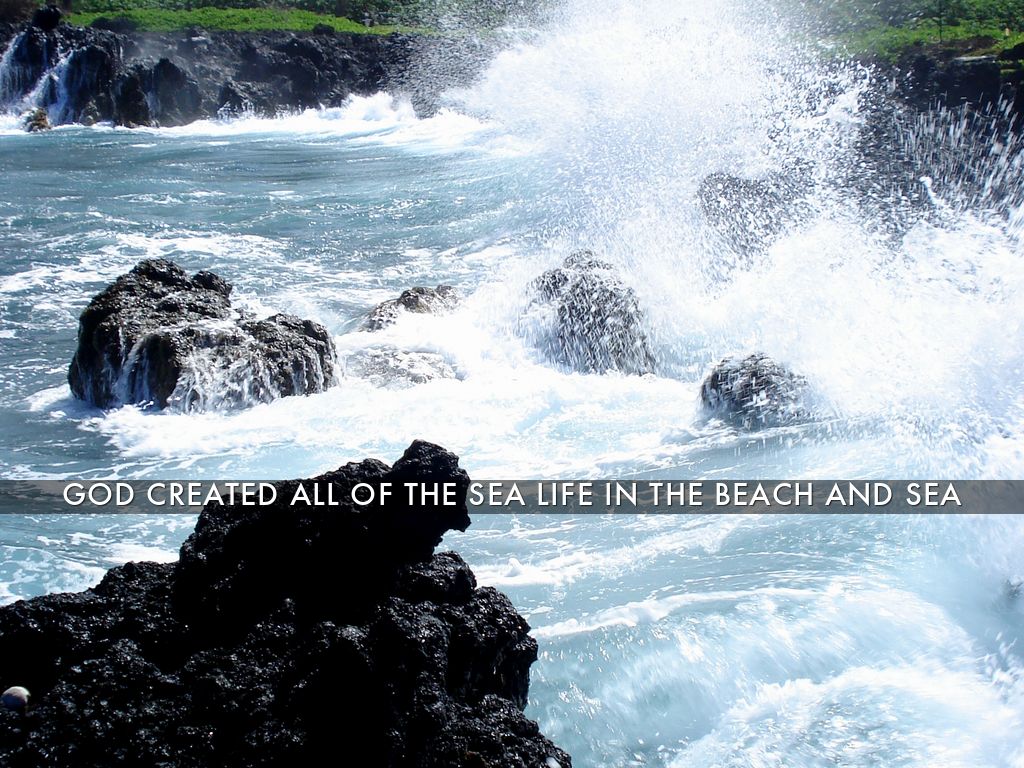 Gods Creation by J P