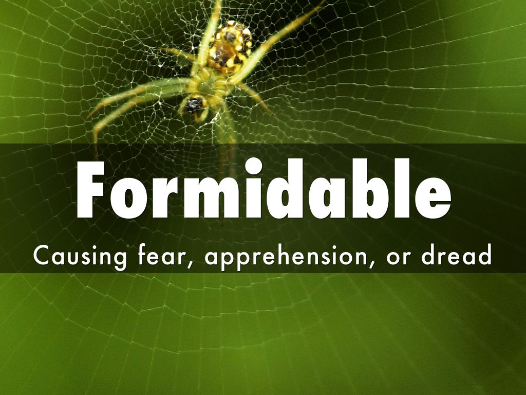 Chapter 12 and 13 Vocab by skyler.brown