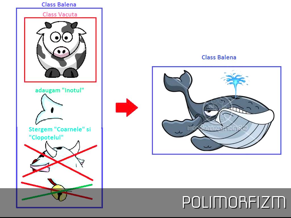 Principiile POO by Andrei Rotari