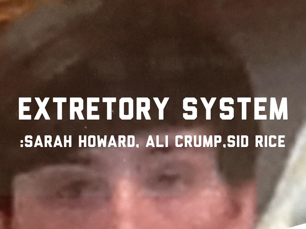 Title by Noah Johnson