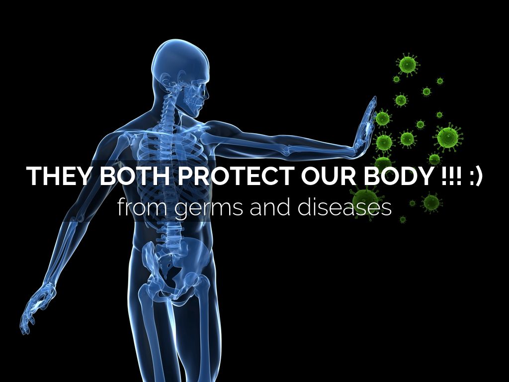 Protection Of The Human Body _ Skin: Layers, Structure and Function ...