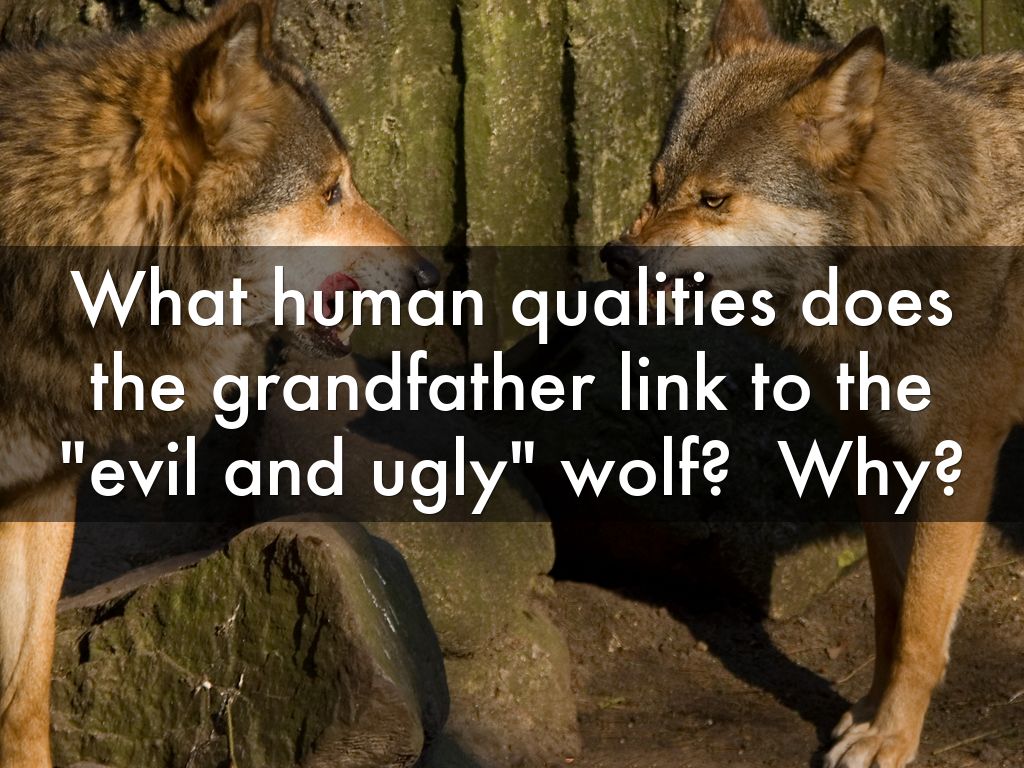 Watch the Two Wolves video for gist: What is the text