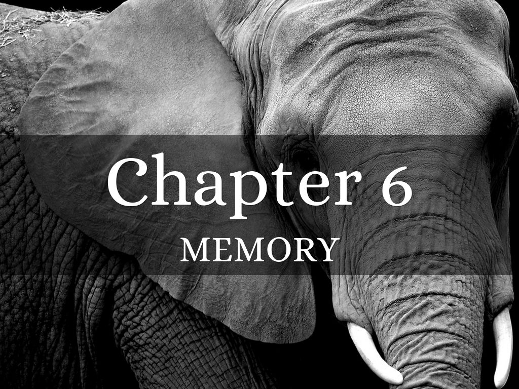 Chapter 6 by Steph Moore