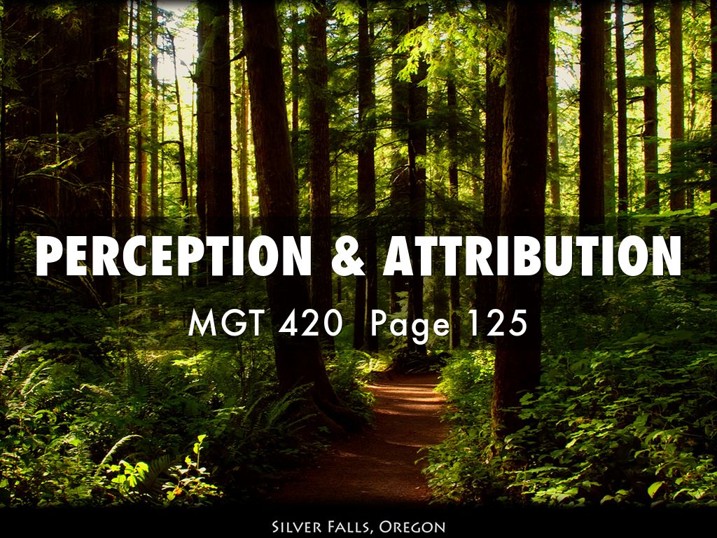 MGT 420 PG 125 by wendi ennis
