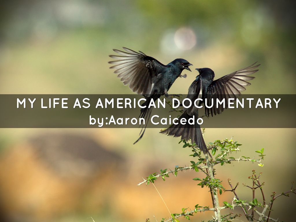 My life as american documentary by aaron.caicedo