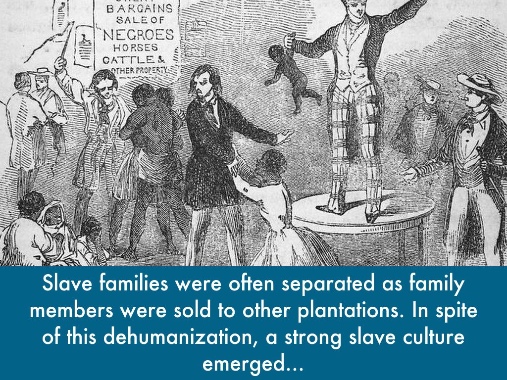 The Origins and Development of Slavery in America by