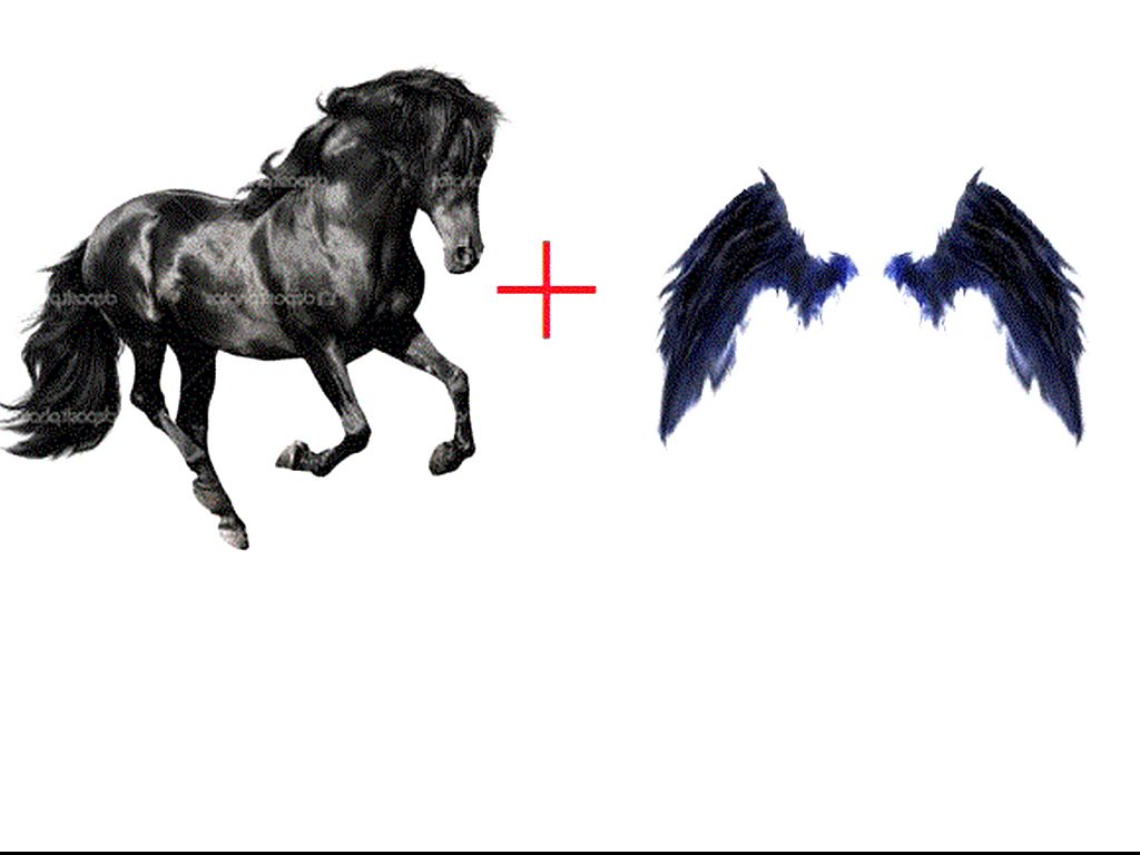 Principiile POO by Andrei Rotari