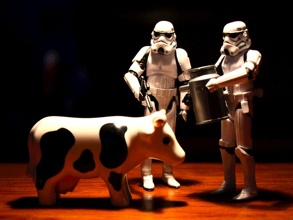 Principiile POO by Andrei Rotari