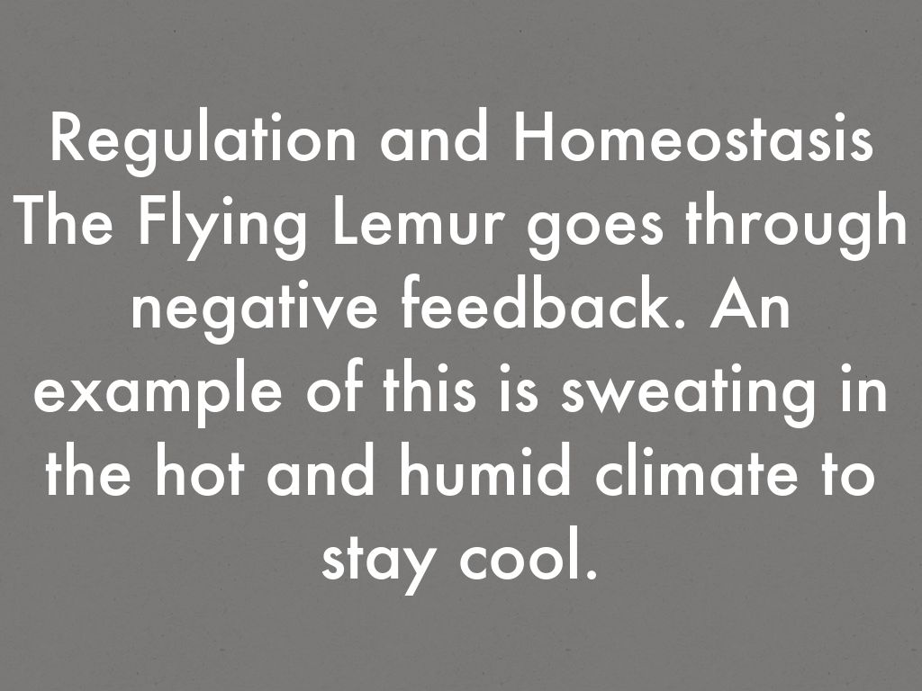 Nate Engstrom and Sean Prendiville by nlee.engstrom