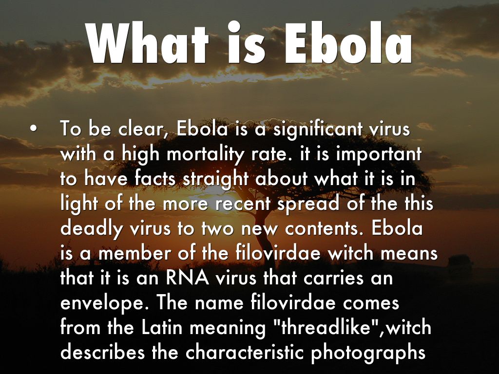 EBOLA by Taylor Ablett