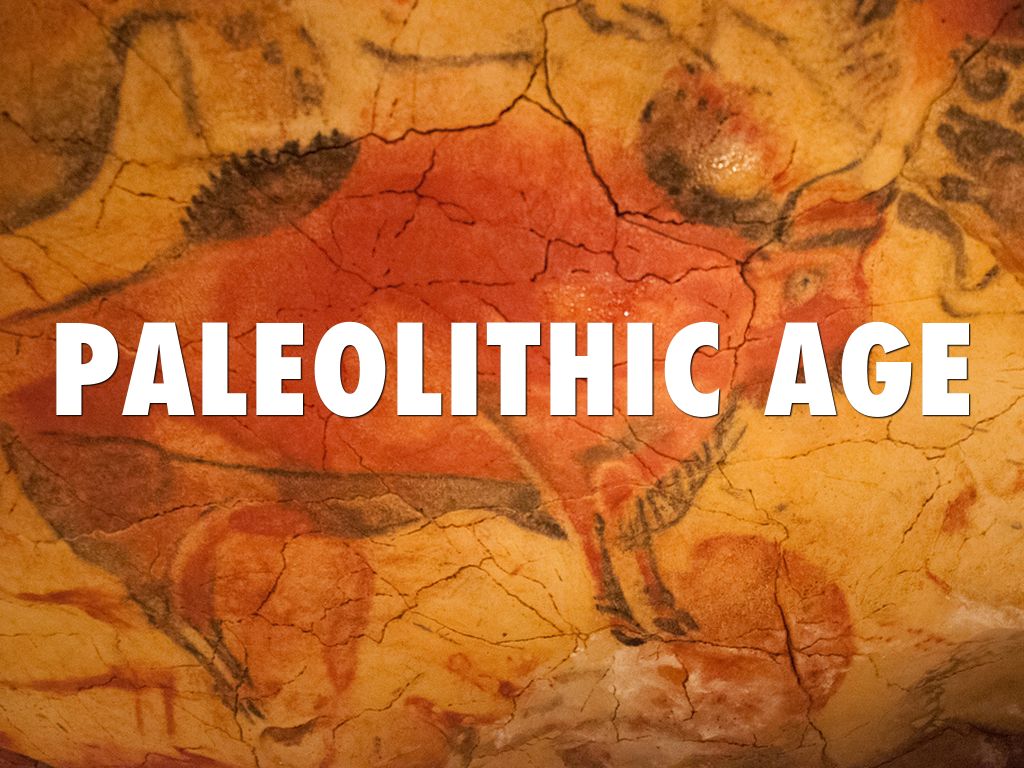 Social Studies by Weston Segura