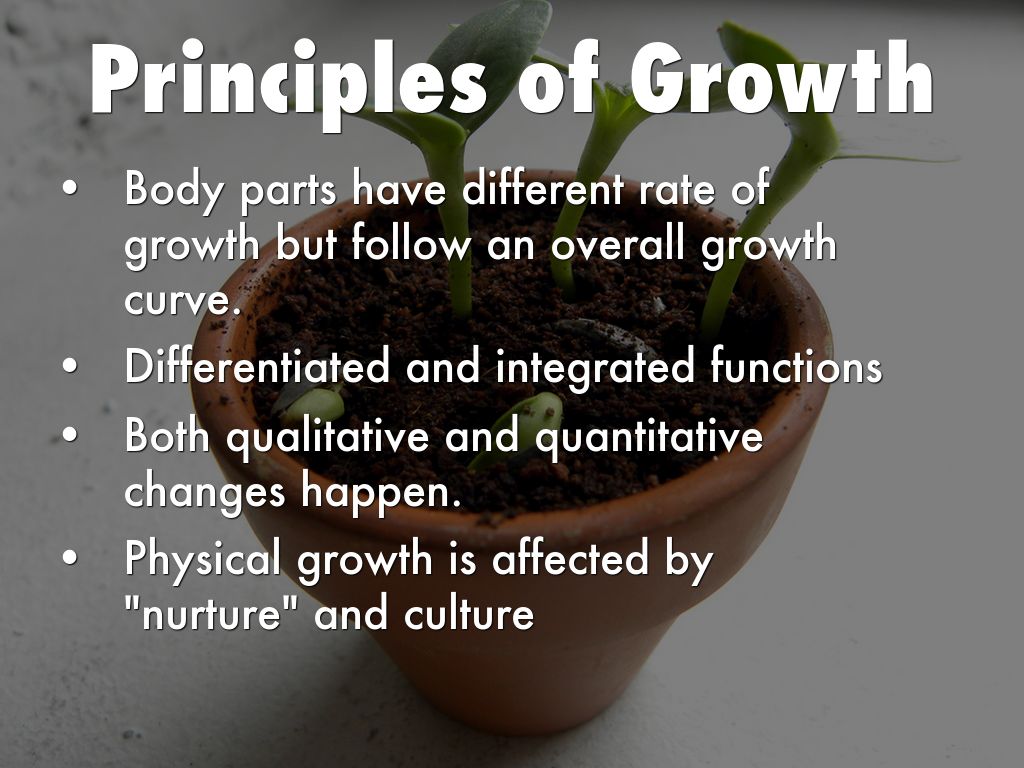 Physical Development by tan