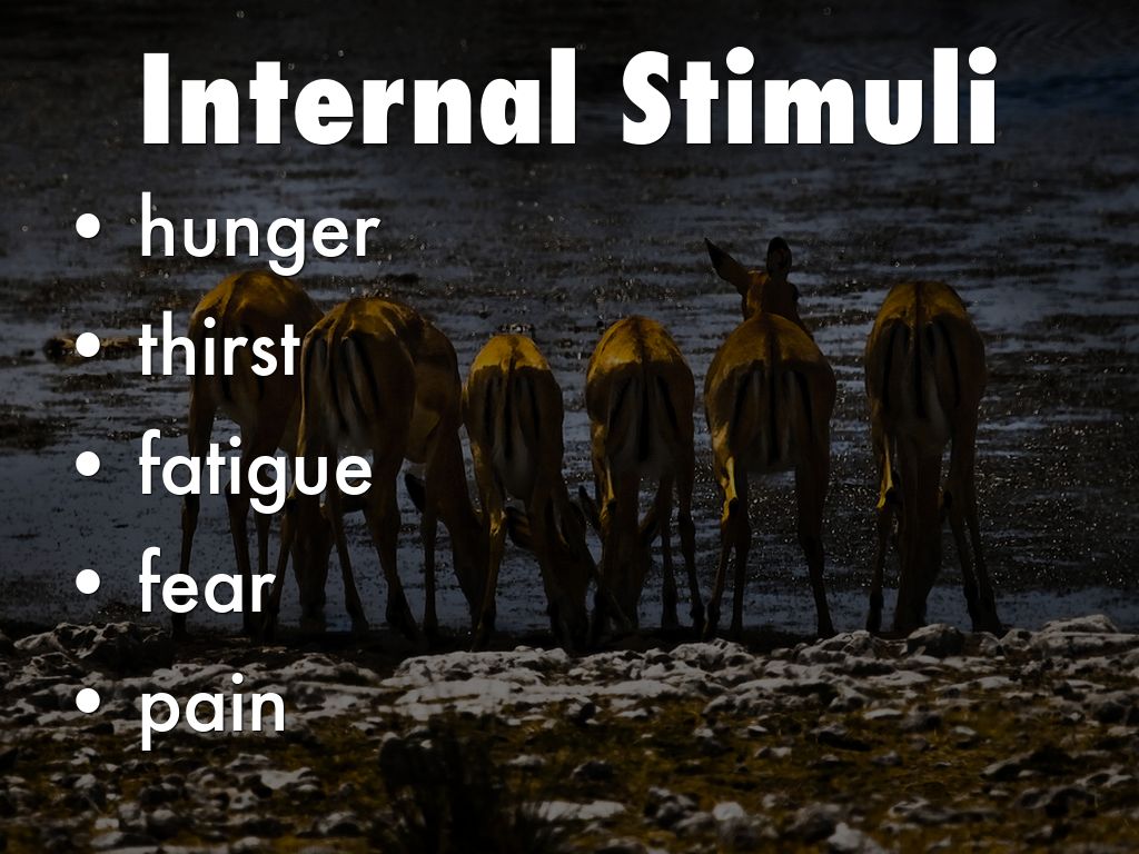 Organisms by Carolyn Hayden