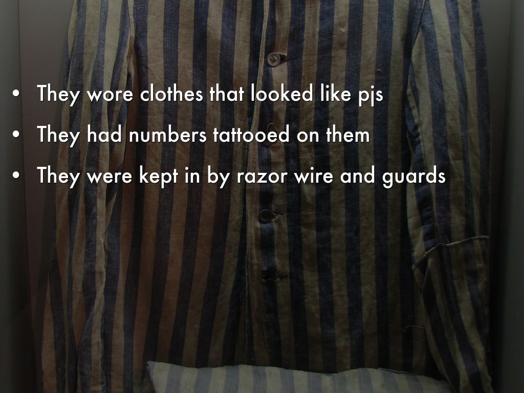 The Holocaust Causes and Effects by putnamela