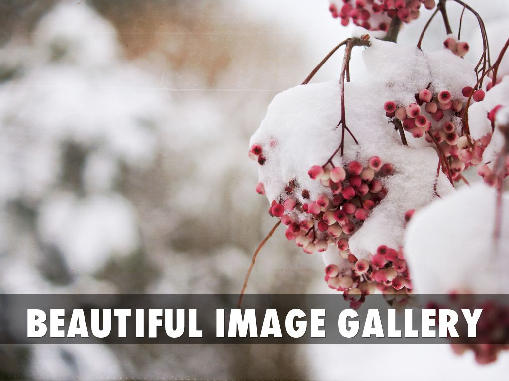 Snow - Haiku Deck by Sandy McVey