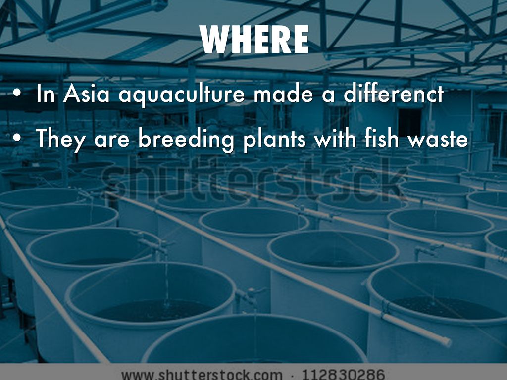 selective breeding by 19vosbe