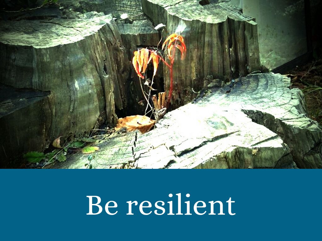 Copy of Job Interview by Daryl Pellizzer