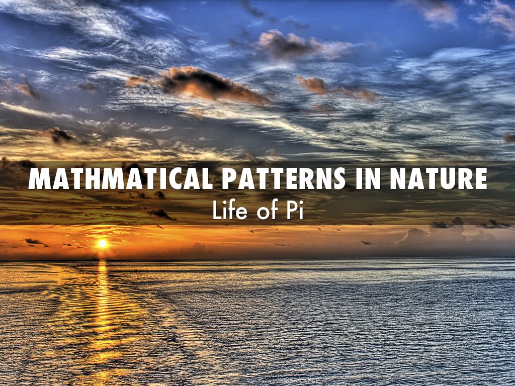 Mathmatical Patterns in Nature by Daniel Bayley
