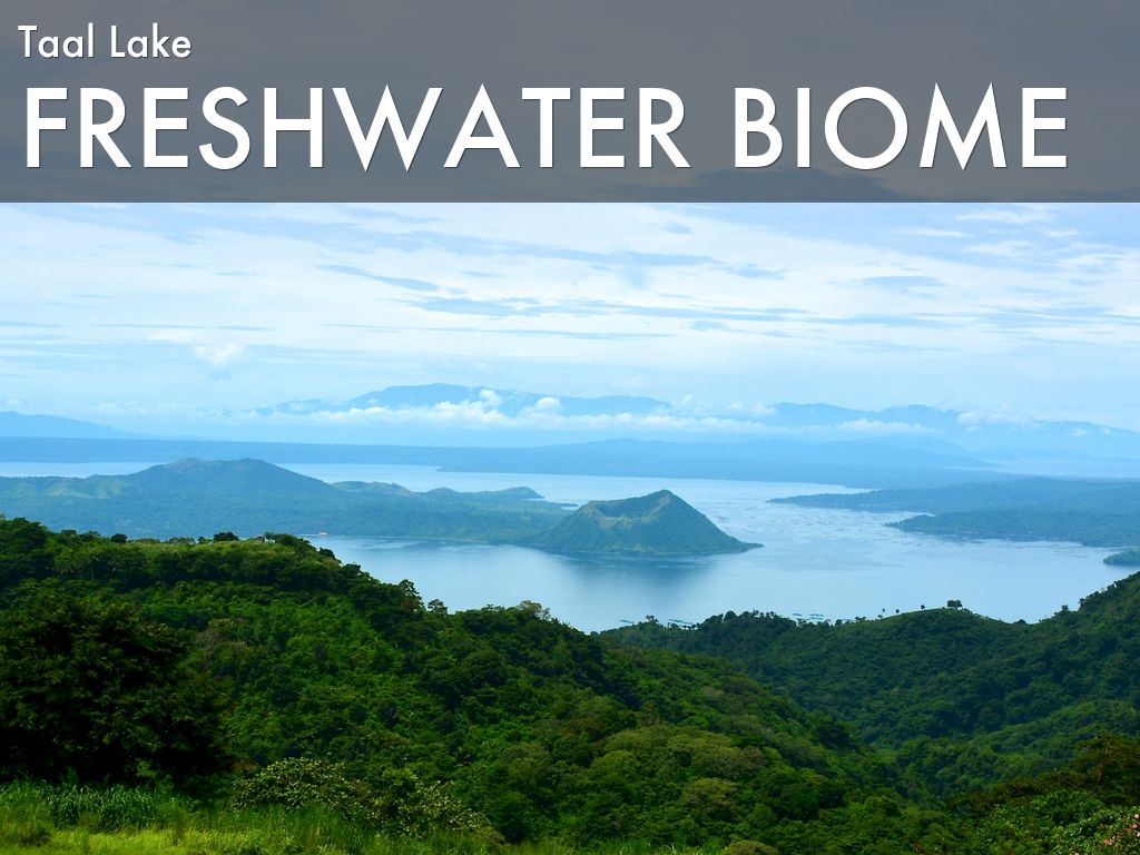 Freshwater Biome by redperson97