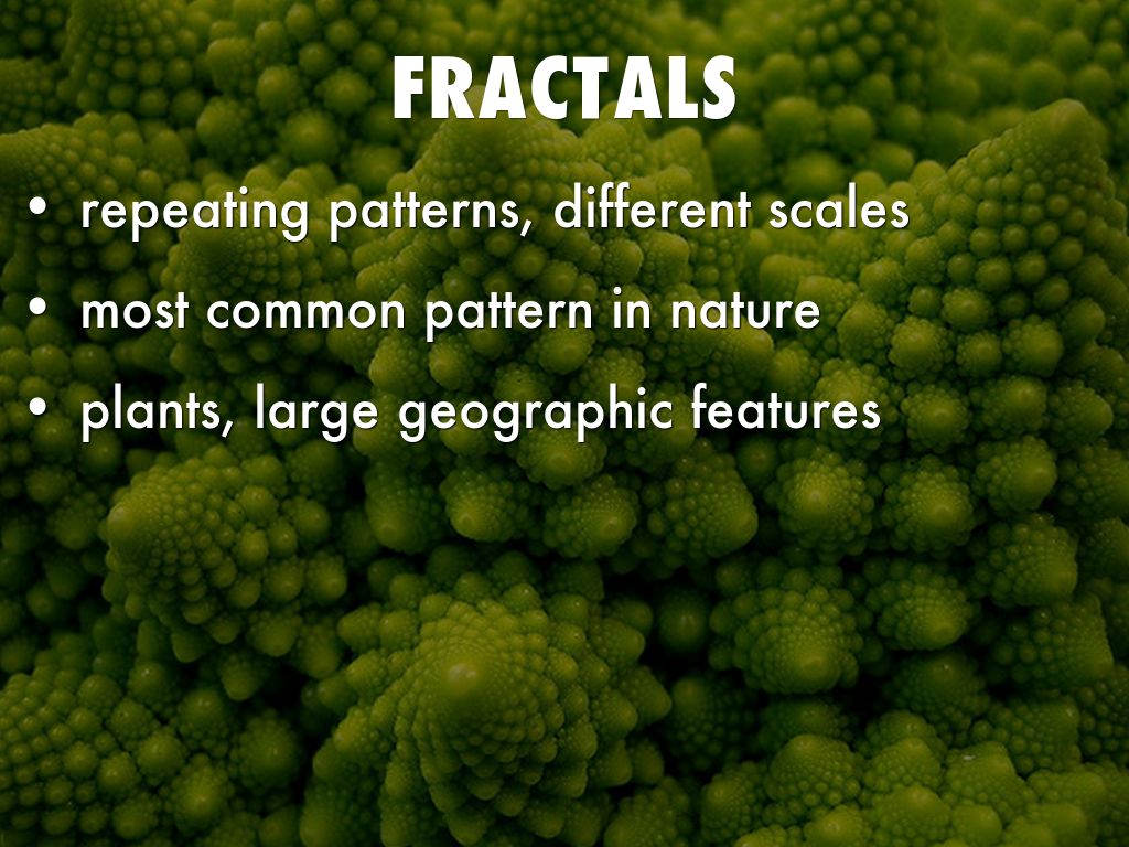 Mathematical Patterns In Nature By Laurenkomalley