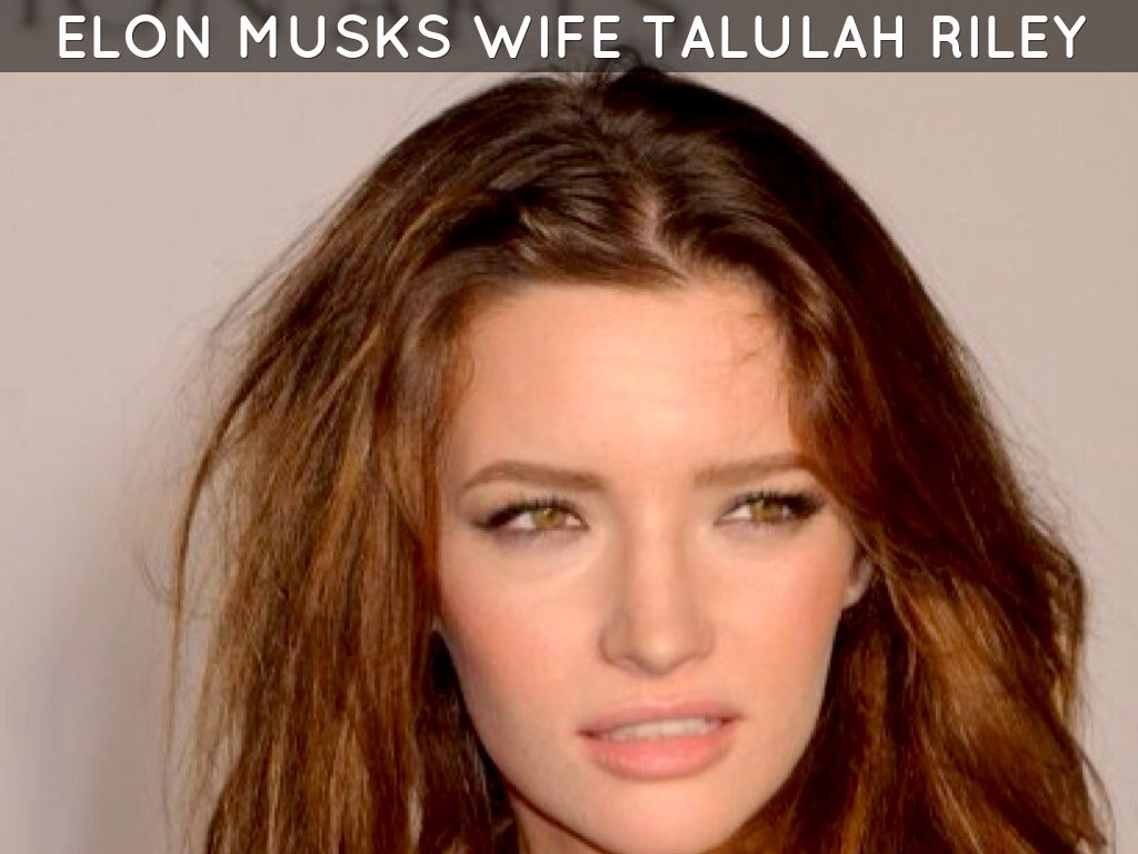 ELON MUSK by Neil Yang by Michelle Wright