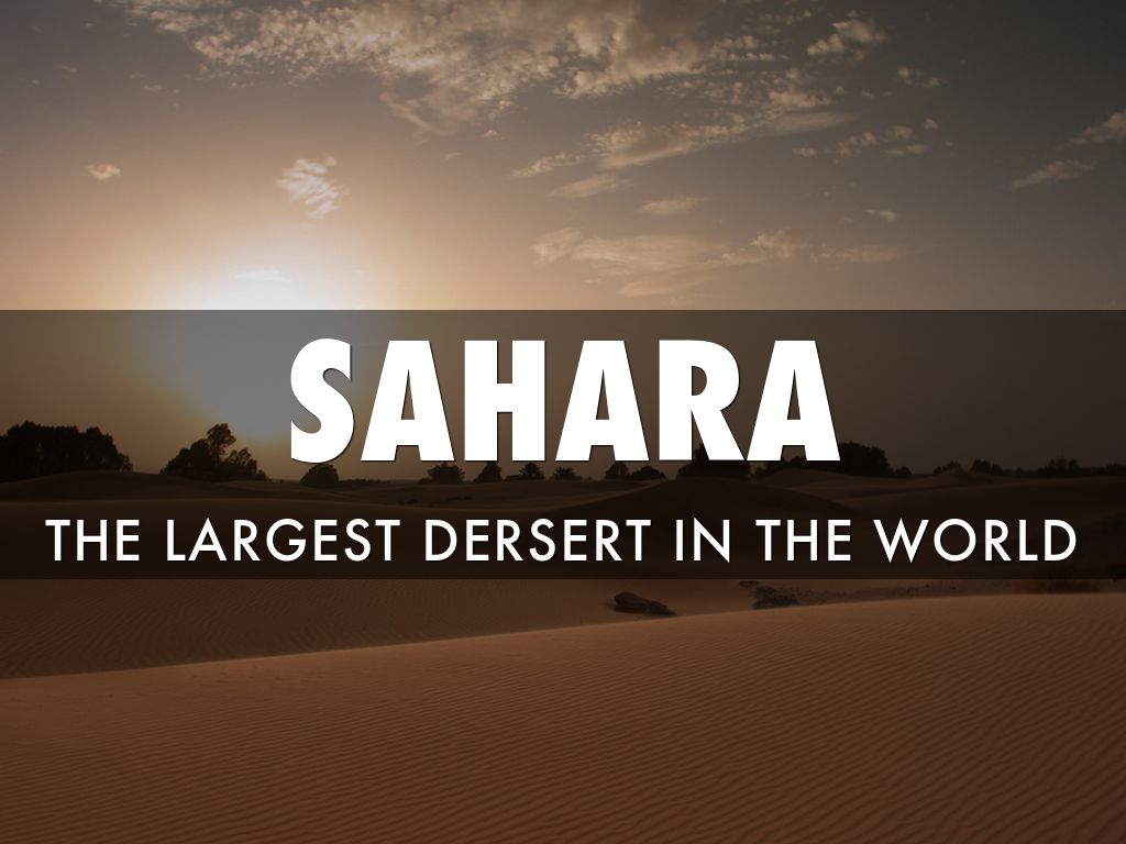 Chapter 2 Vocabulary by Darin Sisneros