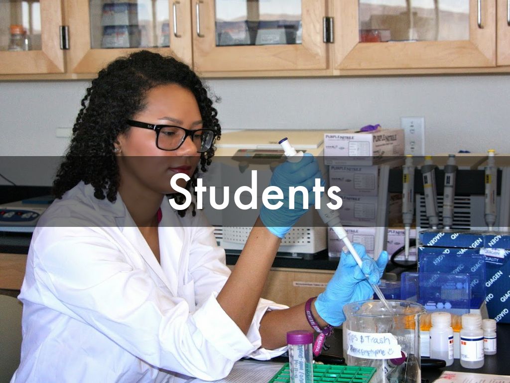 NSC Technology Audit by sabok1