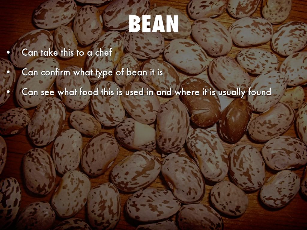 Identifying Trace Evidence by Nicolette Pianelli