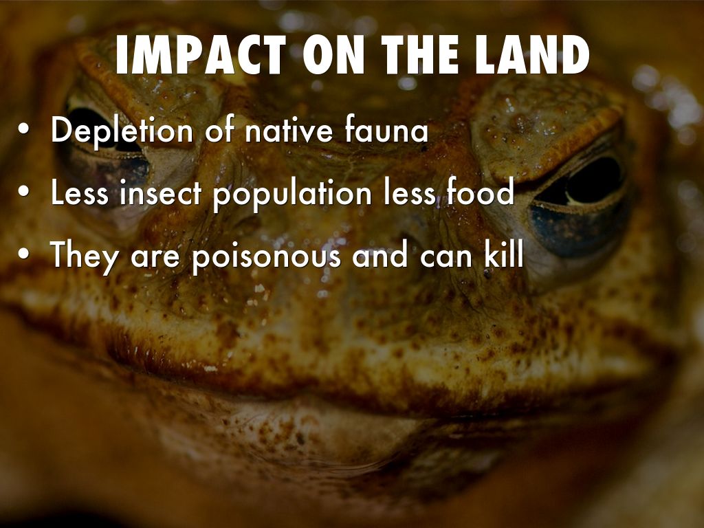 Invasive &ENDANGERED species by kenneth.balding