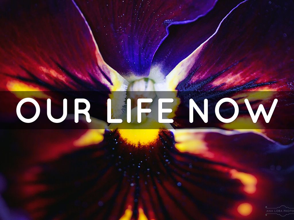 My life as american documentary by aaron.caicedo