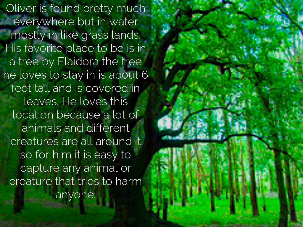 hero's Journey. by Laney Lopez