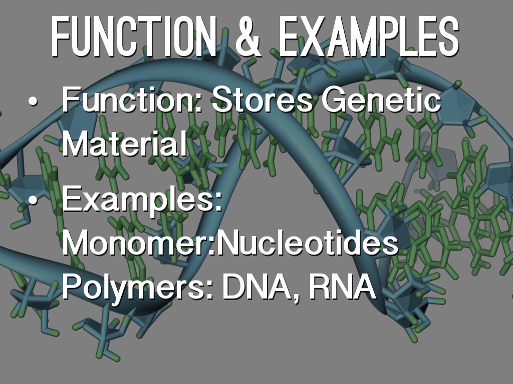 Organic Compounds Project by Claudia Smith