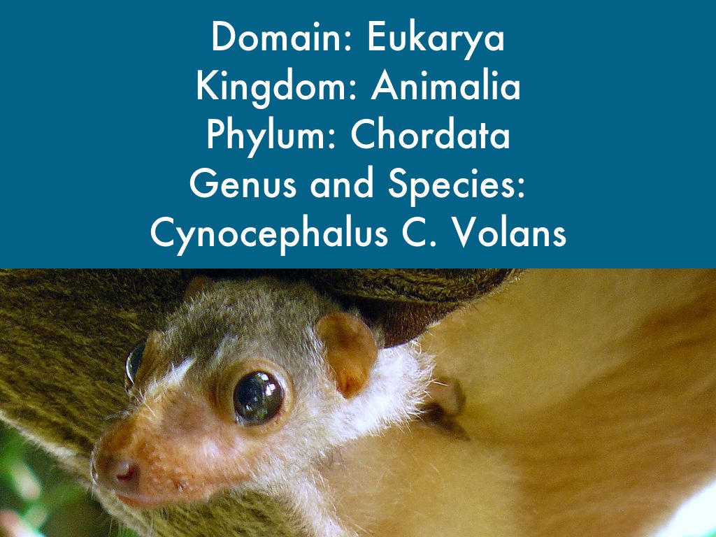 Nate Engstrom and Sean Prendiville by nlee.engstrom