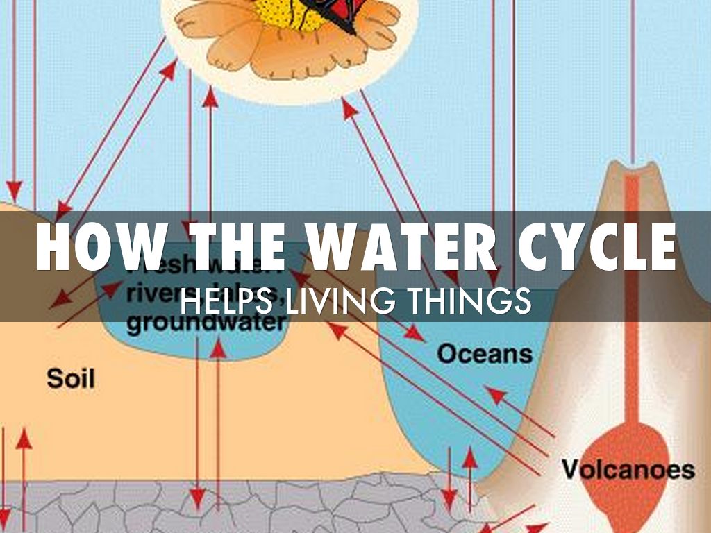 What is the water cycle and how does it help living