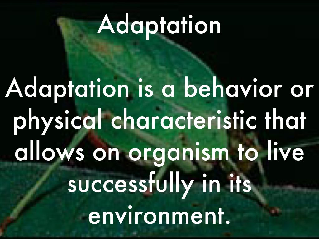 Science by Morgan Gunsch