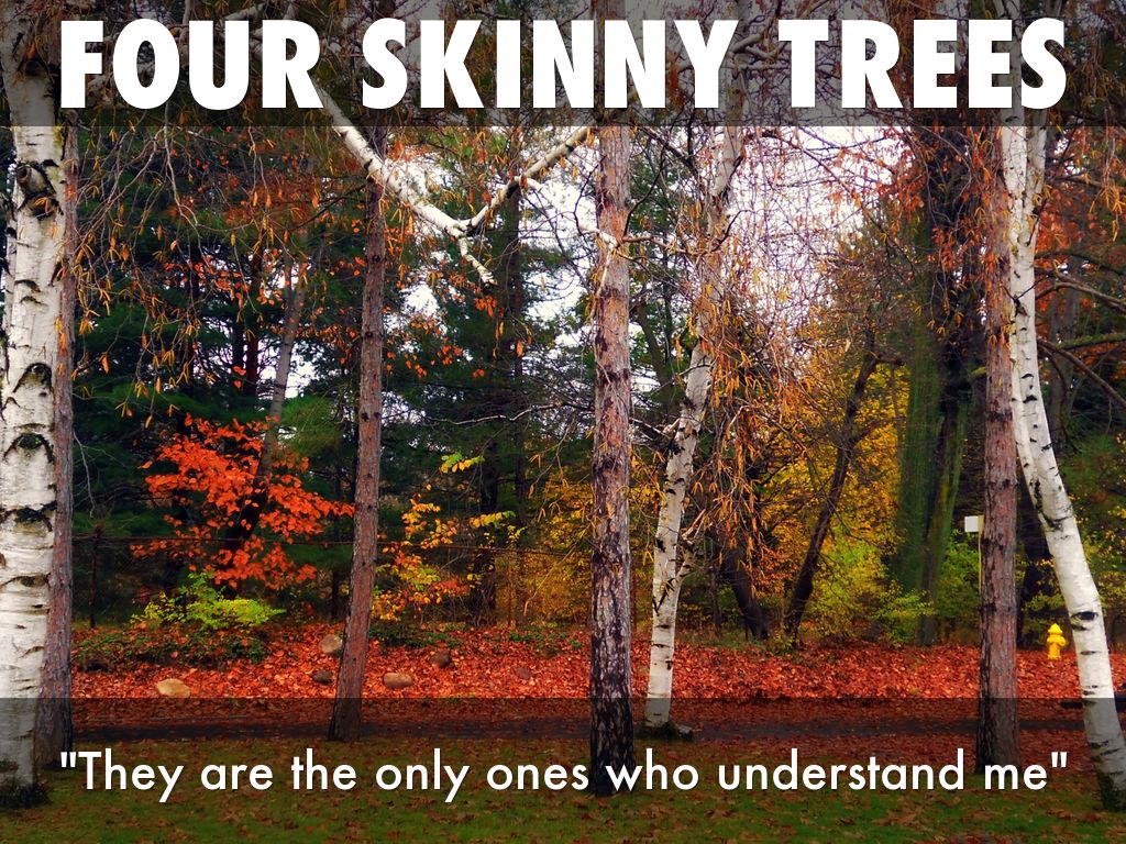 my house by liljay826