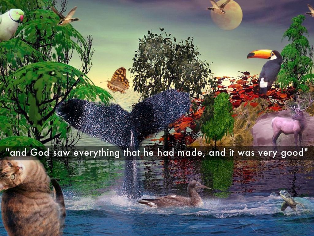 "and it was good" by davidyazdiya