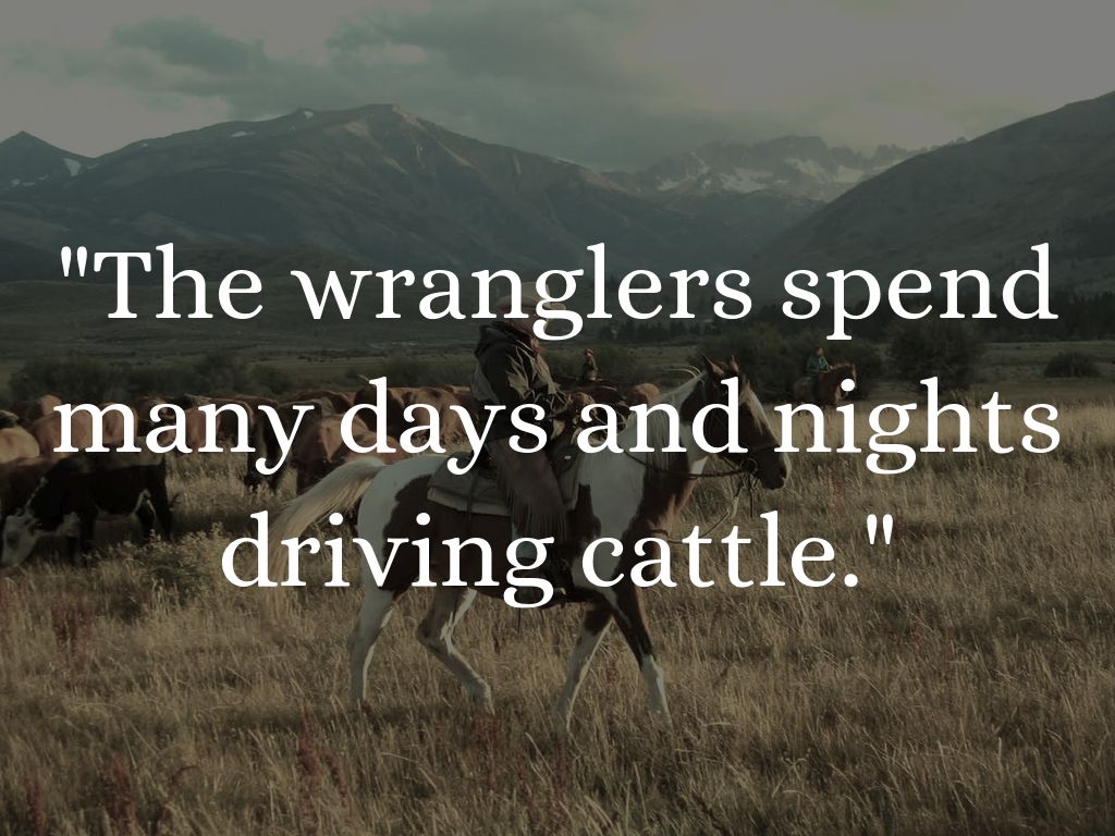 Boss of the Plains vocabulary by Laura Schrock