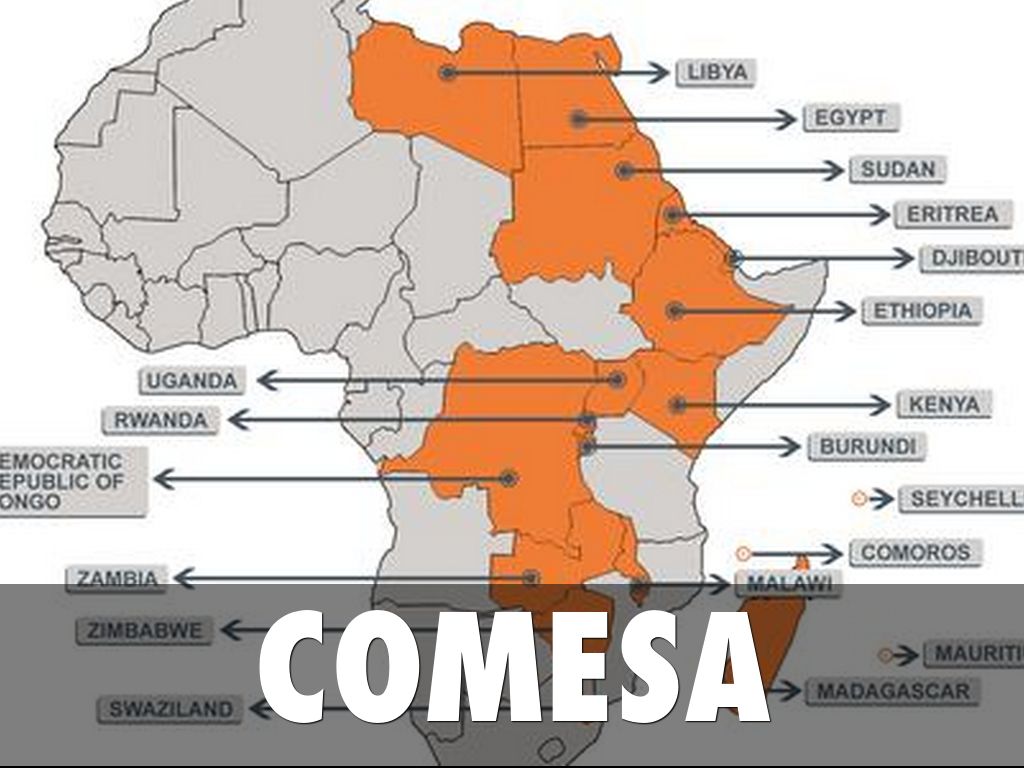 AFRICAN REGIONAL POWERS by Anupam Ray