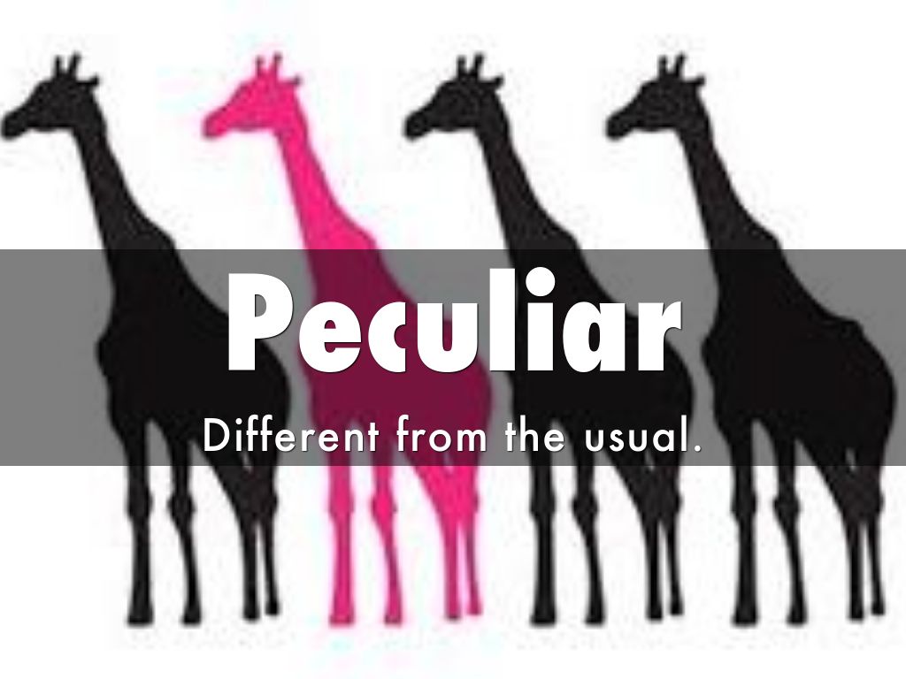 Peculiar by 18.gfico