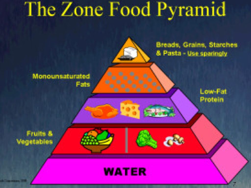 The Zone Diets by Makenna Steffel