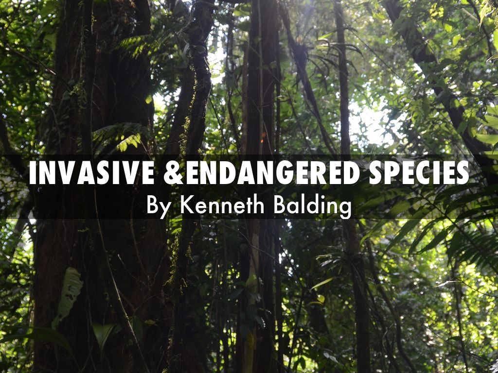 Invasive &ENDANGERED species by kenneth.balding