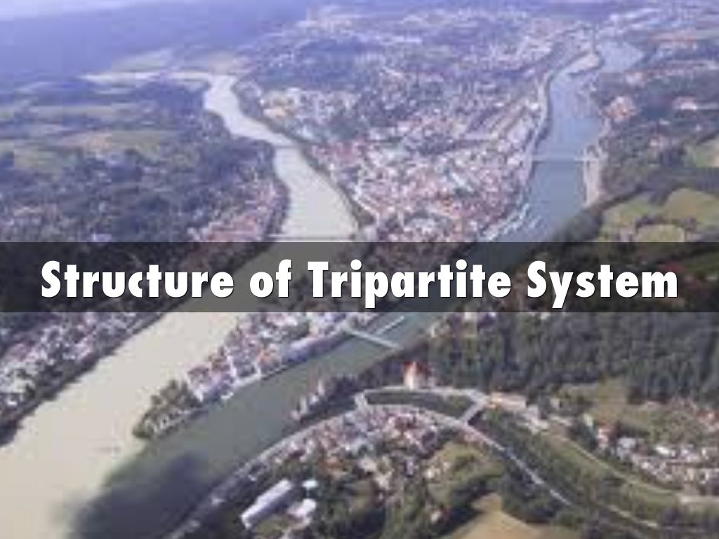 German Education by Matthew Cohen