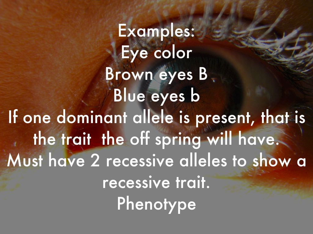 Genetics by Marybeth Mineo