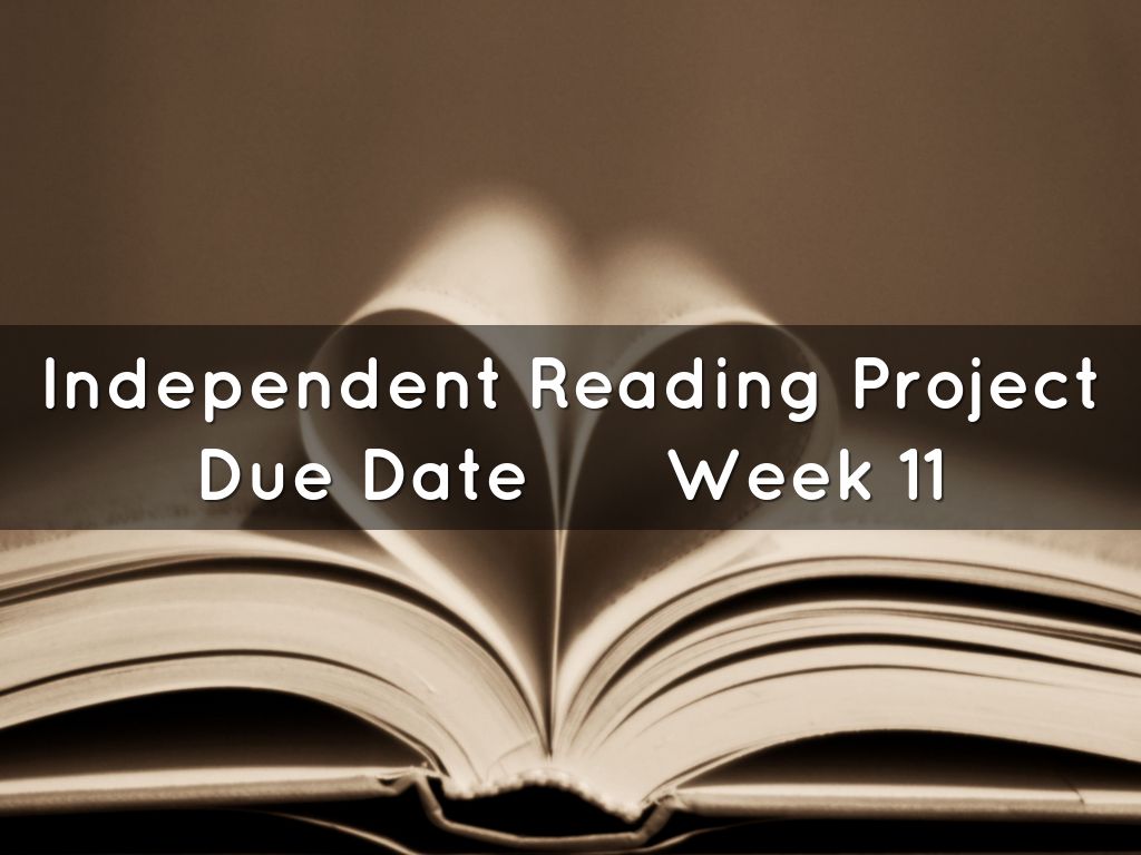 Independent Reading Project- It’s Your Choice by Rose
