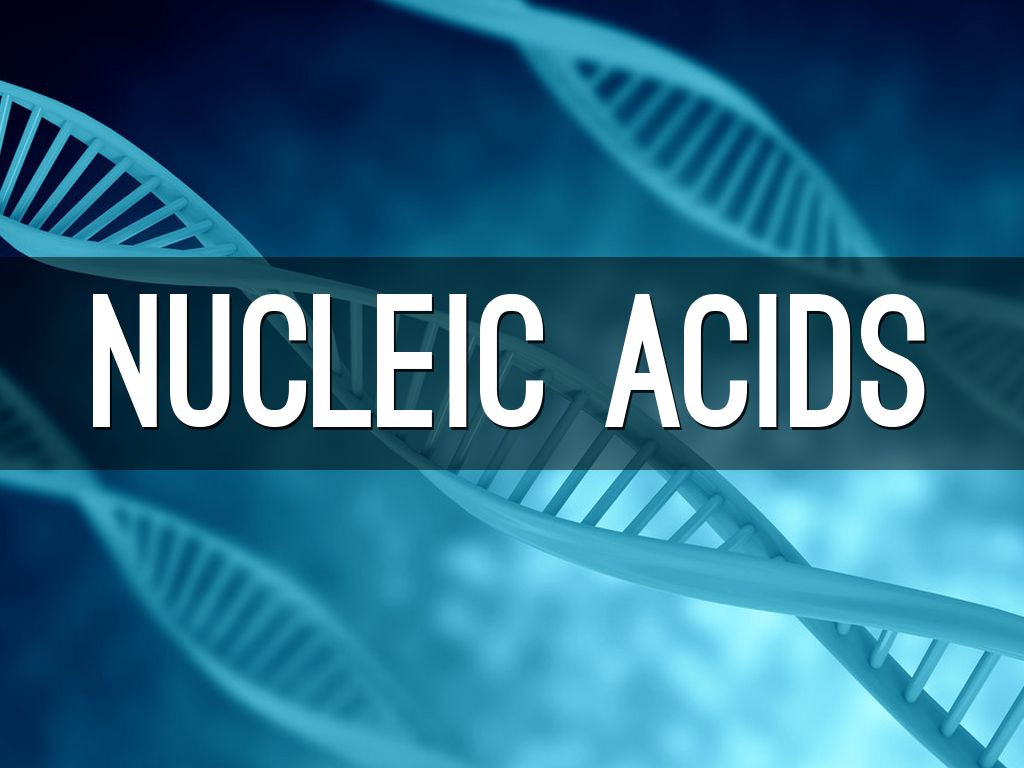 Organic Compounds Project by Claudia Smith